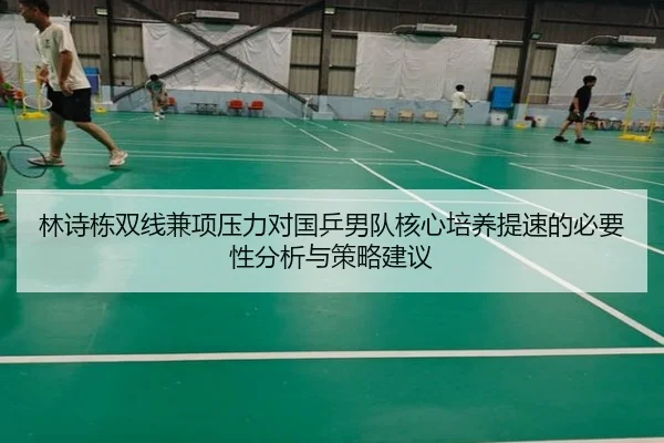 林诗栋双线兼项压力对国乒男队核心培养提速的必要性分析与策略建议 - PG模拟器
